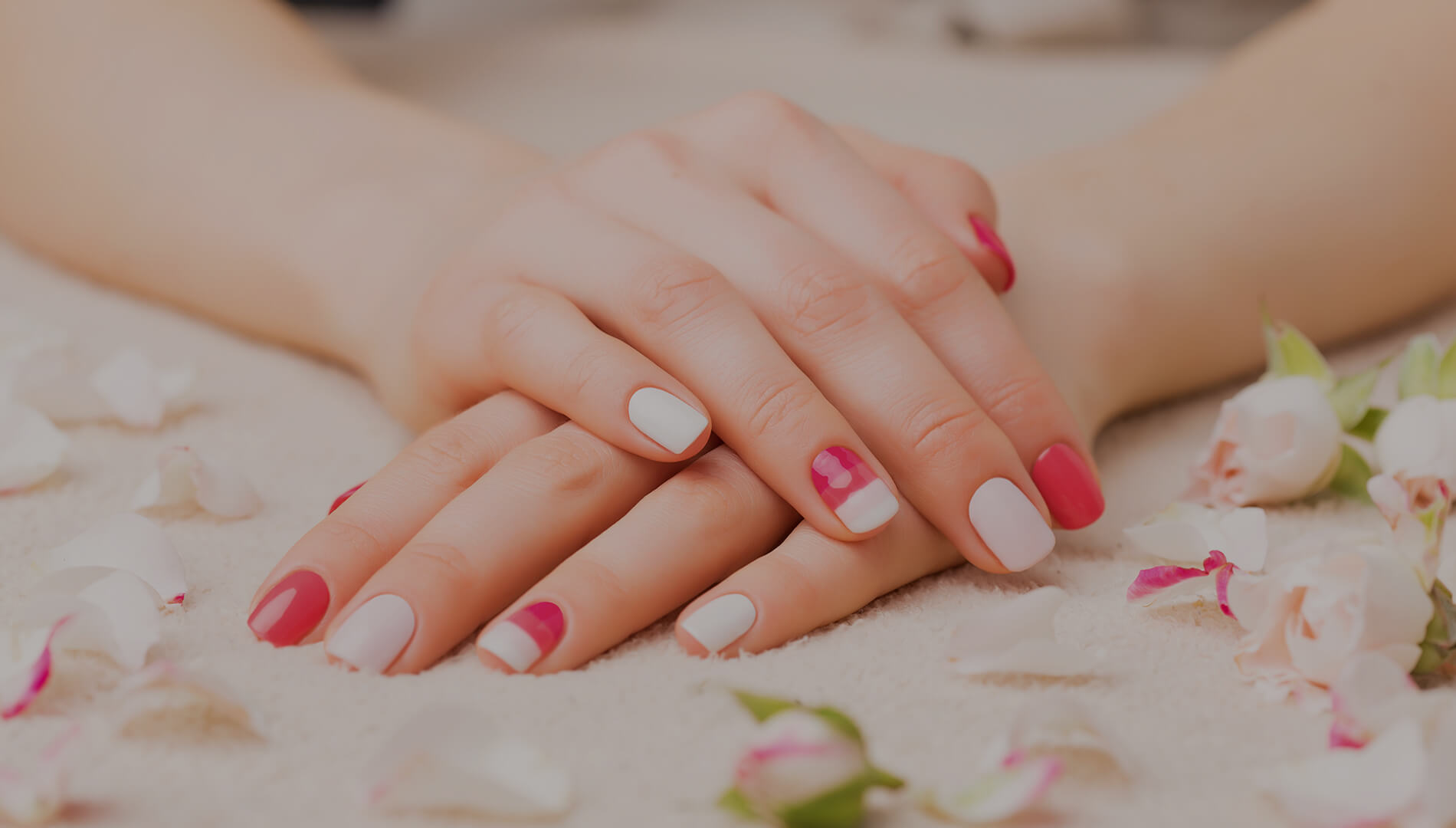 Royal Nail And Spa – Best Nails Salon in North Carolina